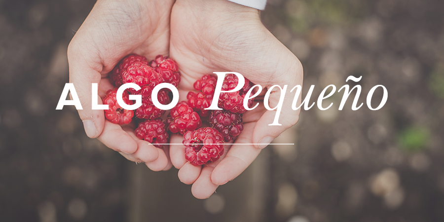 Algo pequeño | Mujer Verdadera Blog | Aviva Nuestros Corazones